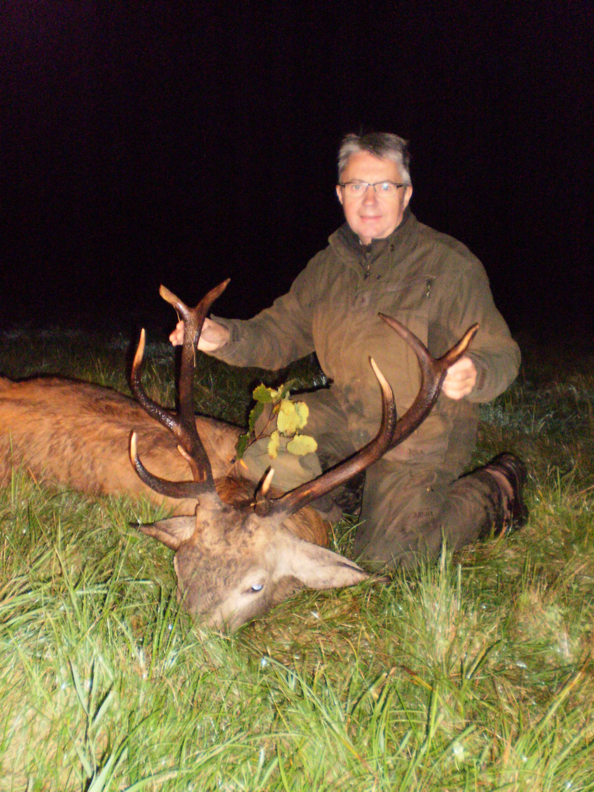 Polske Hjorte - Gamekeeper.dk