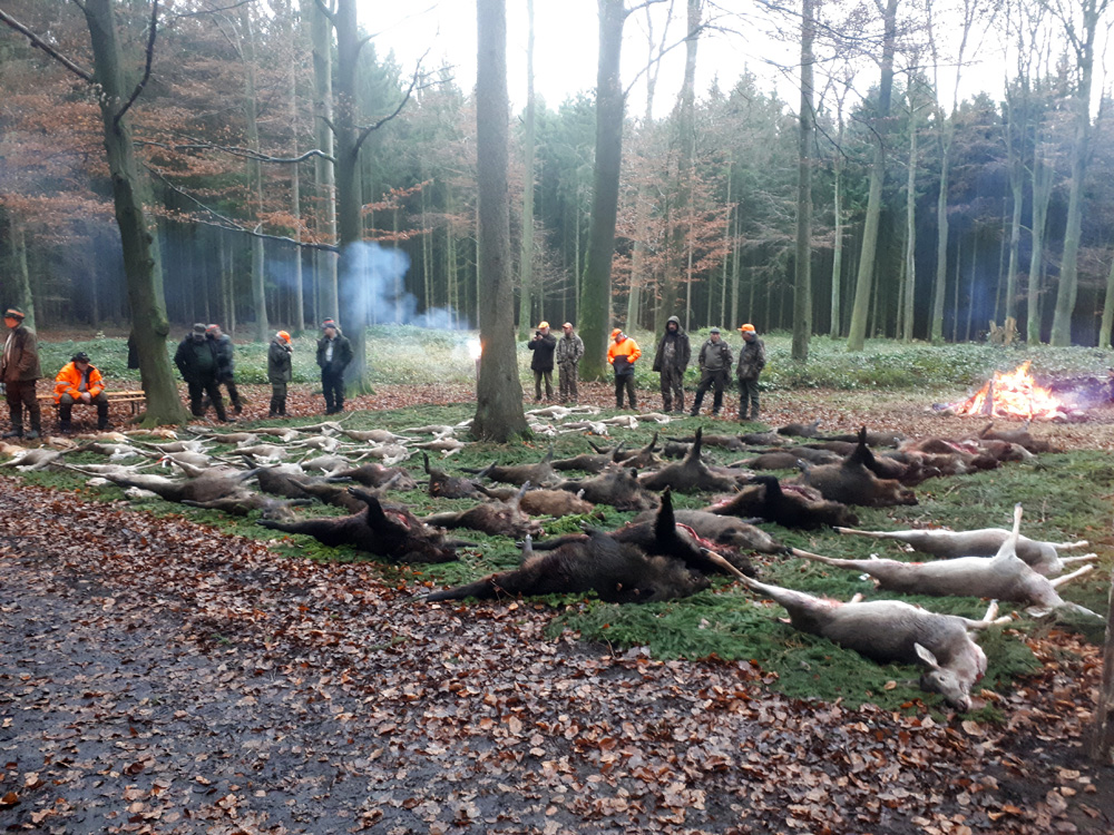 Tyskland – Bevægelsesjagt november 2019 - Gamekeeper.dk