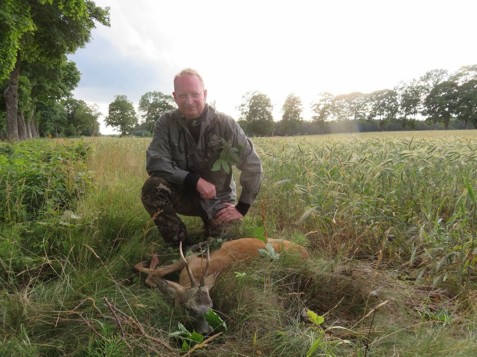 Brunstjagt på bukke, Starnice 2025 - Gamekeeper.dk